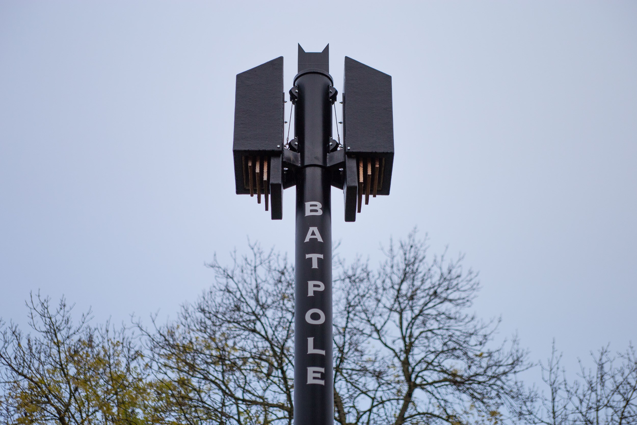 The batsignal in the park and another Zoom-carnival