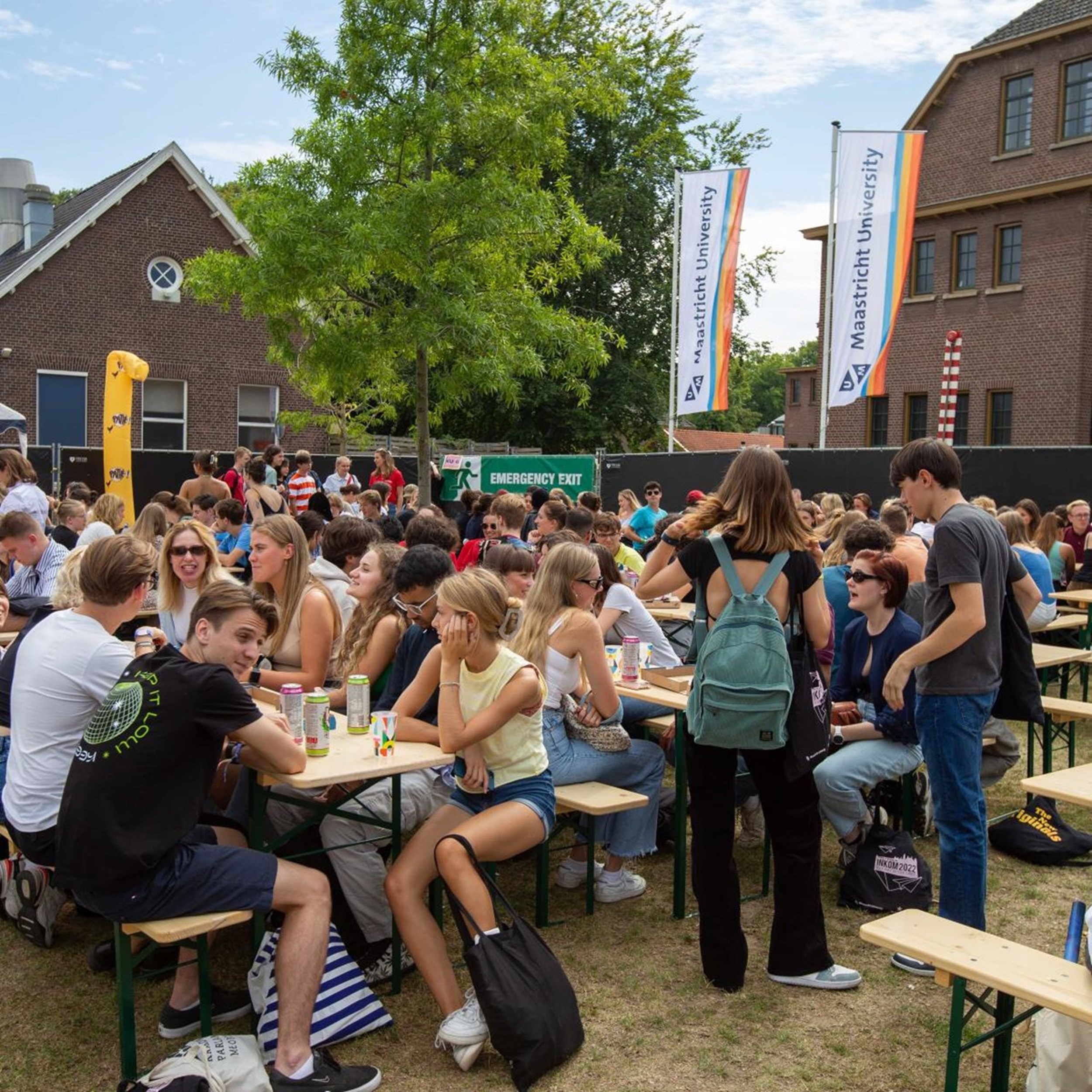 Growth in international students almost halved in the Netherlands